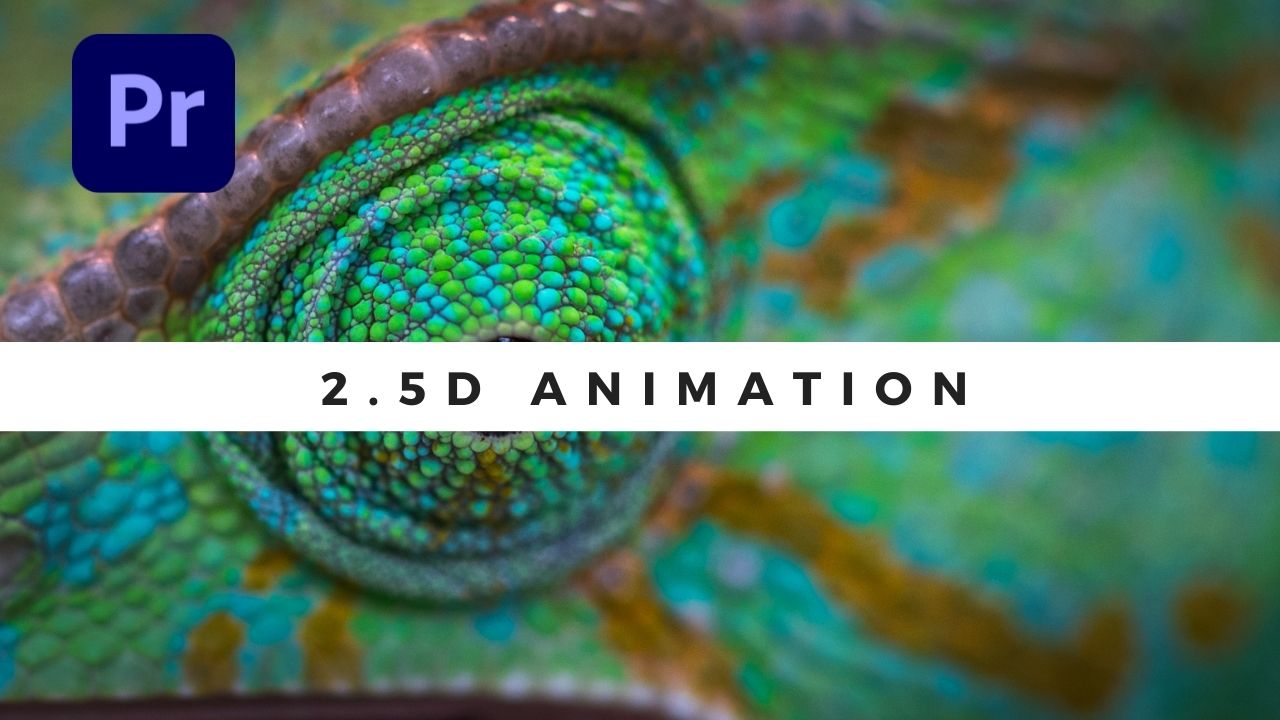 How To 2 5D Animation Effect Adobe Premiere Pro
